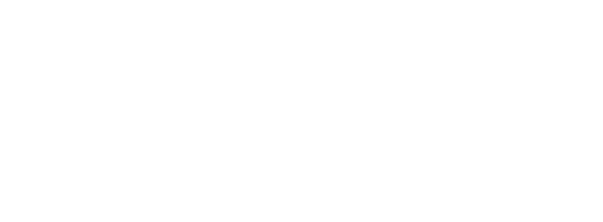 Veterinarian in Asheville, NC | Partners Animal Hospital Asheville